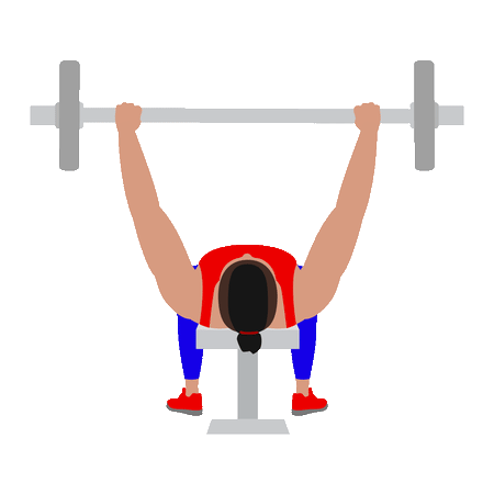 Barbell Hip Thrust Gif Air Squat GIFs Find & Share On GIPHY